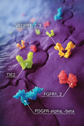 how does regorafenib work