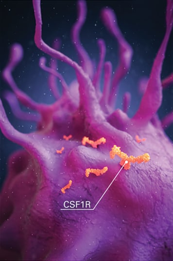 how does regorafenib work