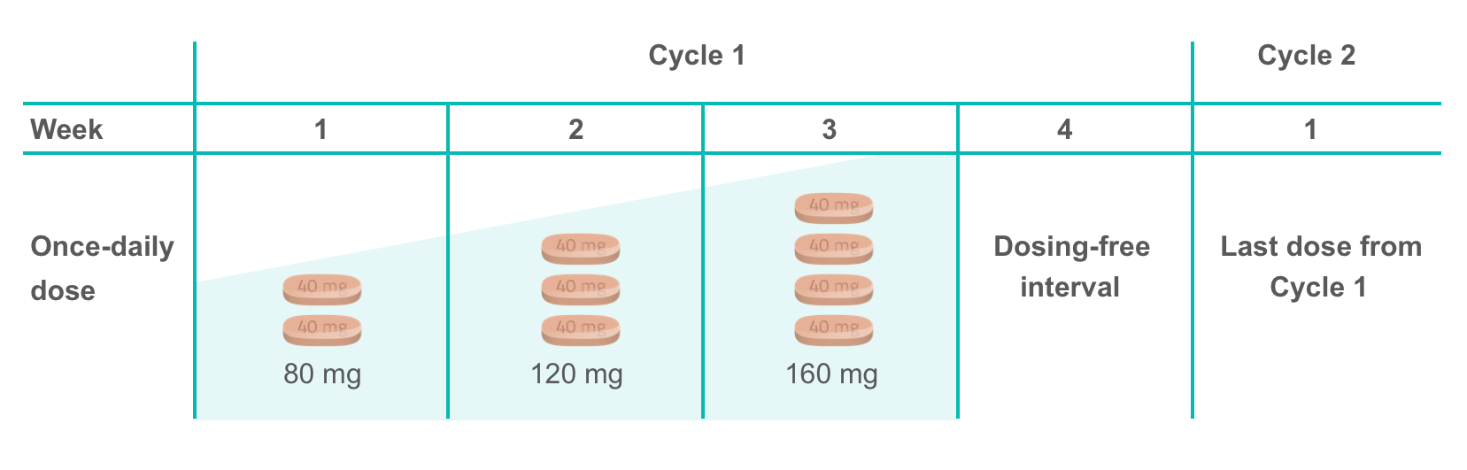 regorafenib protocol